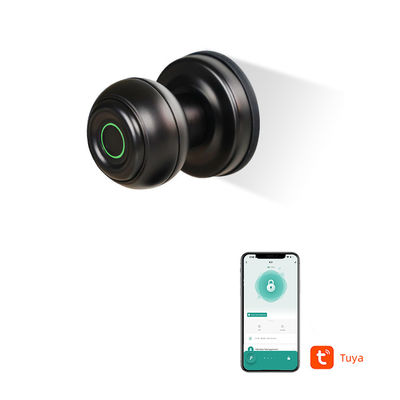 Biometric Fingerprint Door Knob Smart Lock Black Bluetooth House Lock