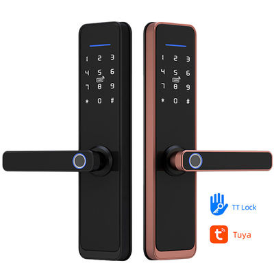 DC6V Tuya Smart Door Lock Customized Logo Keyless Smart Lock