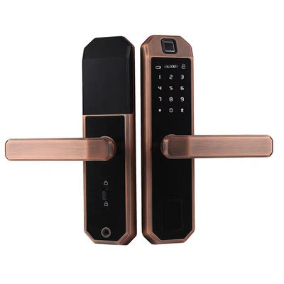Fingerprint Smart Door Locks factory, Buy good quality Fingerprint ...
