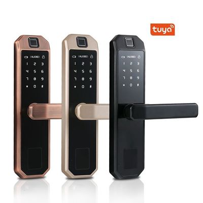 Fingerprint Smart Door Locks factory, Buy good quality Fingerprint ...