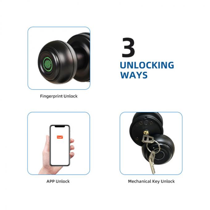 Biometric Fingerprint Door Knob Smart Lock Black Bluetooth House Lock
